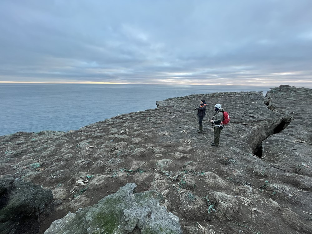 Umhverfisstofnun | Eldey 2022